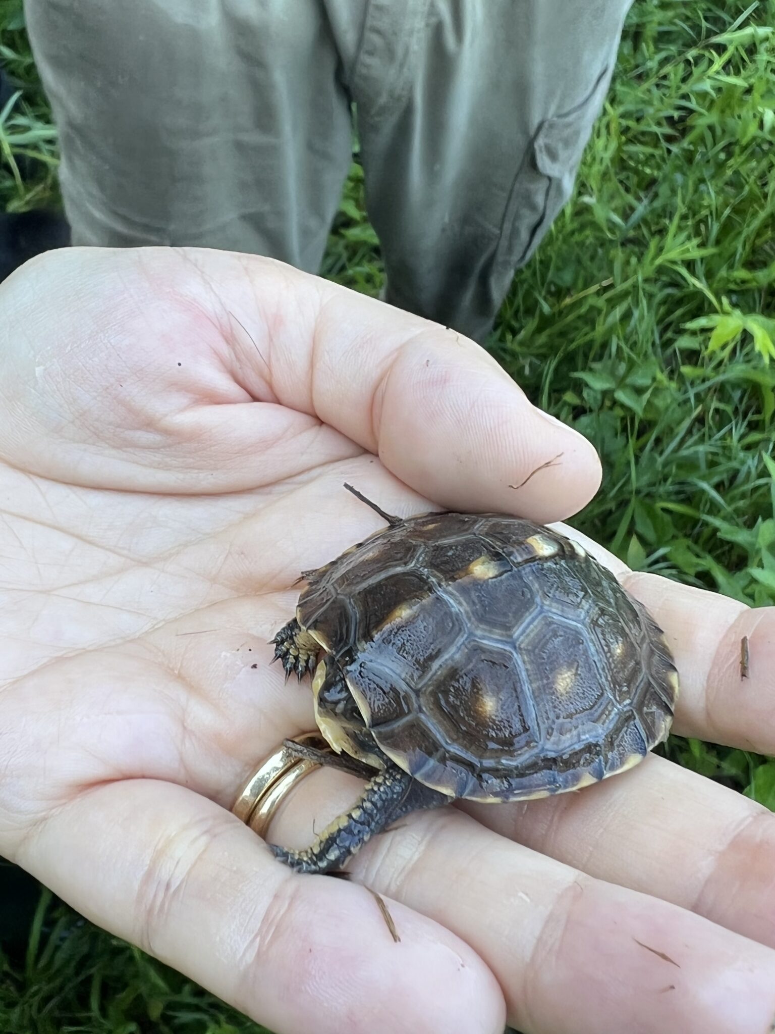 University of Illinois researchers lead the world's largest study of ...
