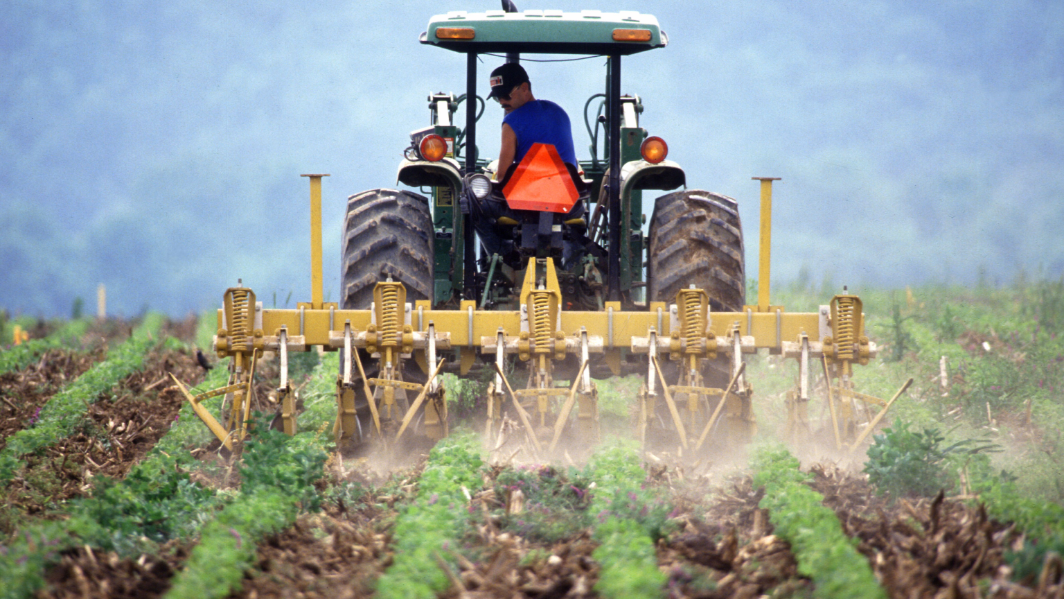 When it comes to chemical fertilizer – less is more, new study says ...