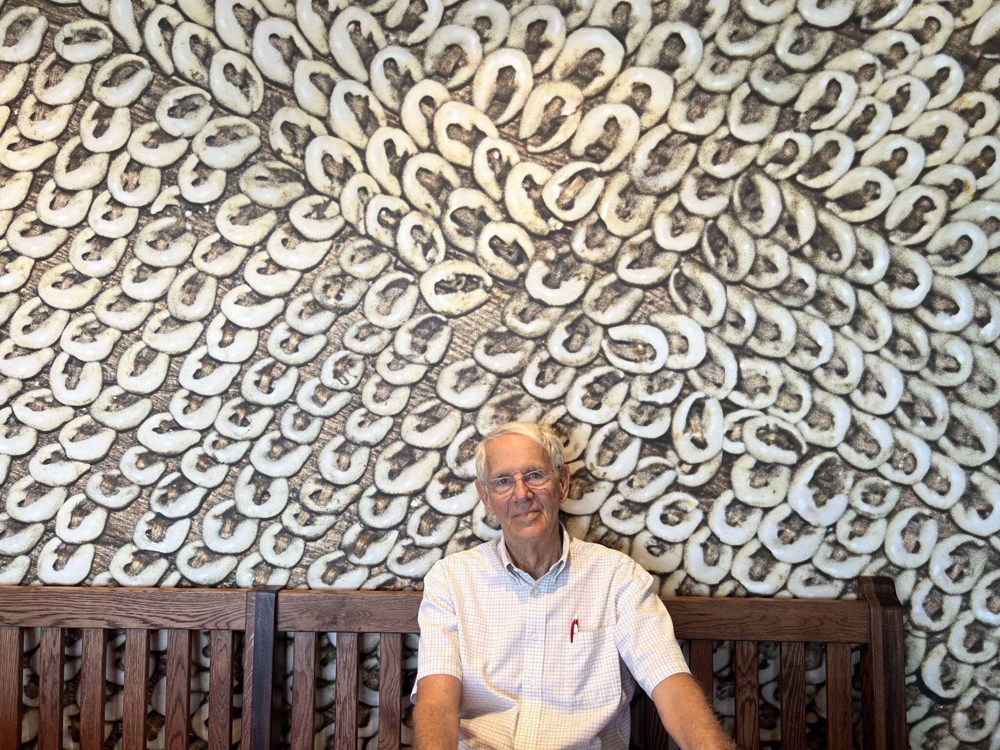 Danville and Chicago's South Side squeezed into 2nd congressional ...