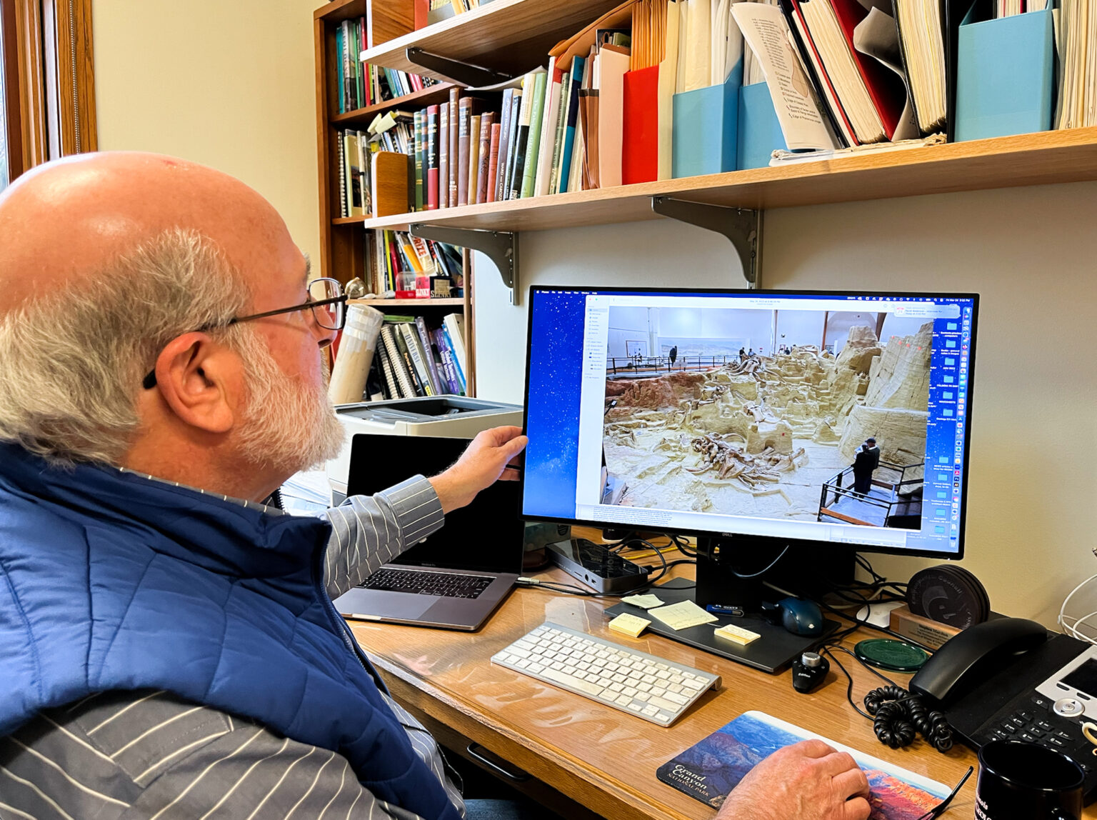 No longer ancient history: Woolly mammoth returns to University of ...