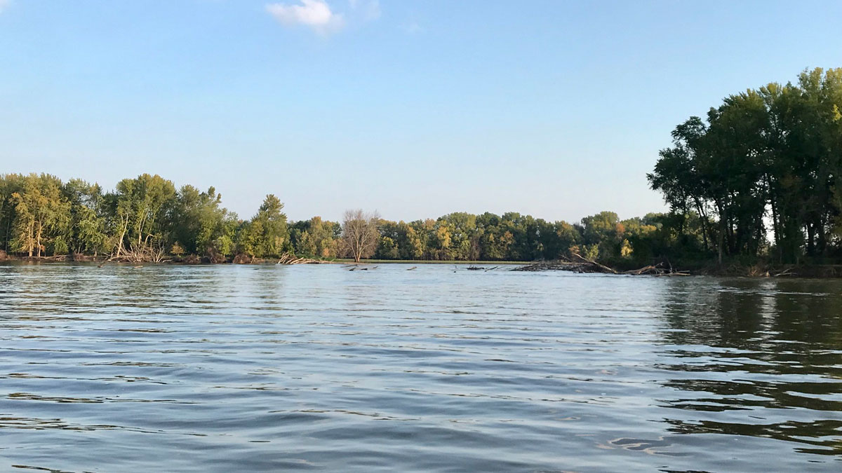 217 Today: Indigenous-led groups advocate legal rights for natural ...