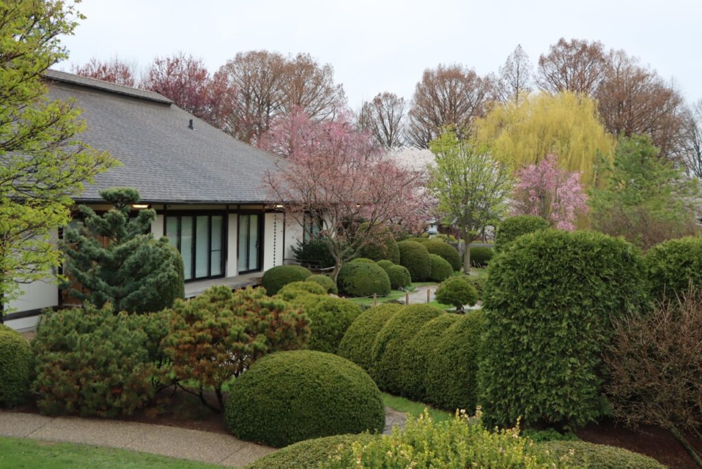 Japan House celebrates long history - IPM Newsroom