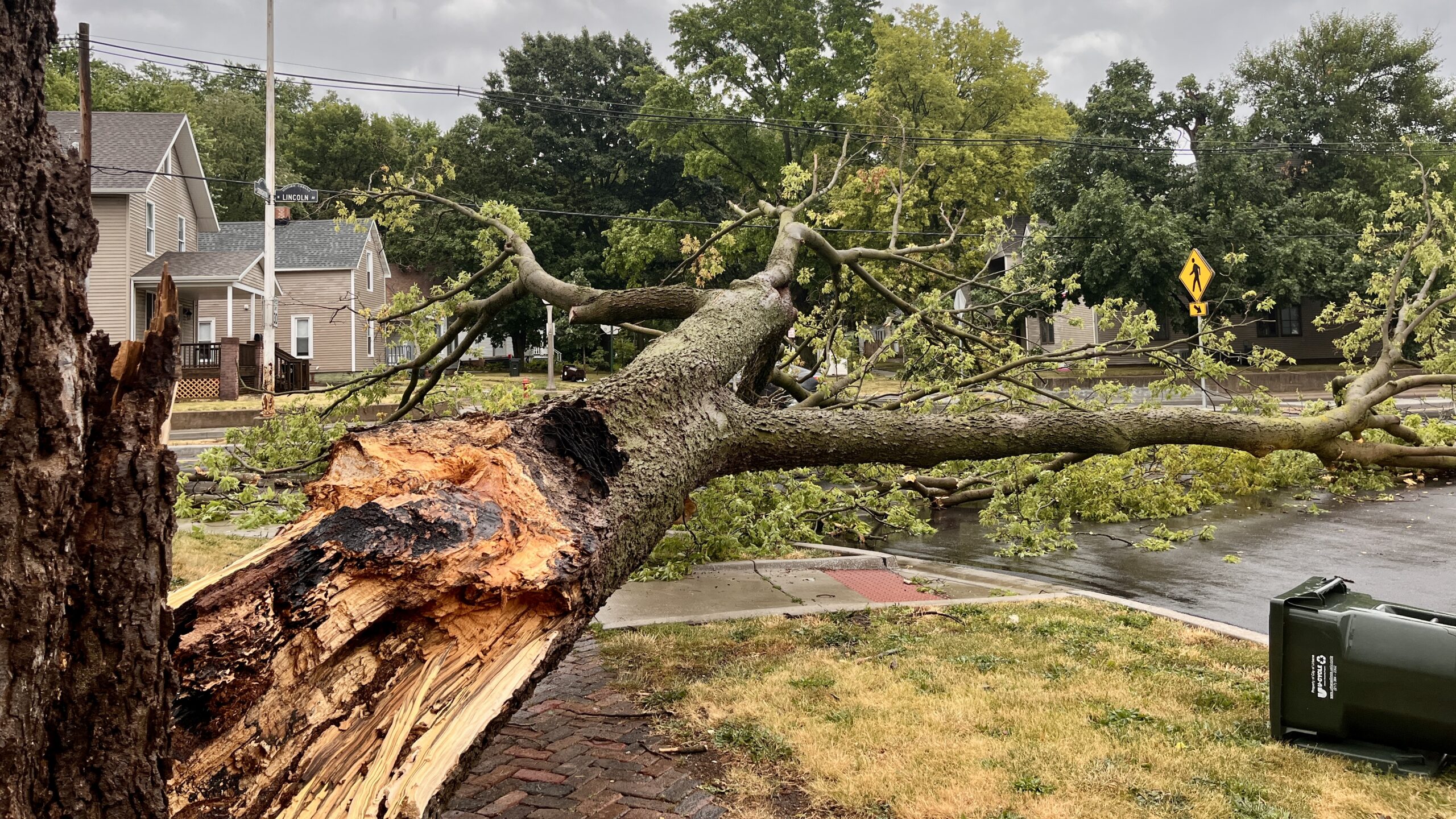 Live updates: Power restored to thousands; branch debris collection ...