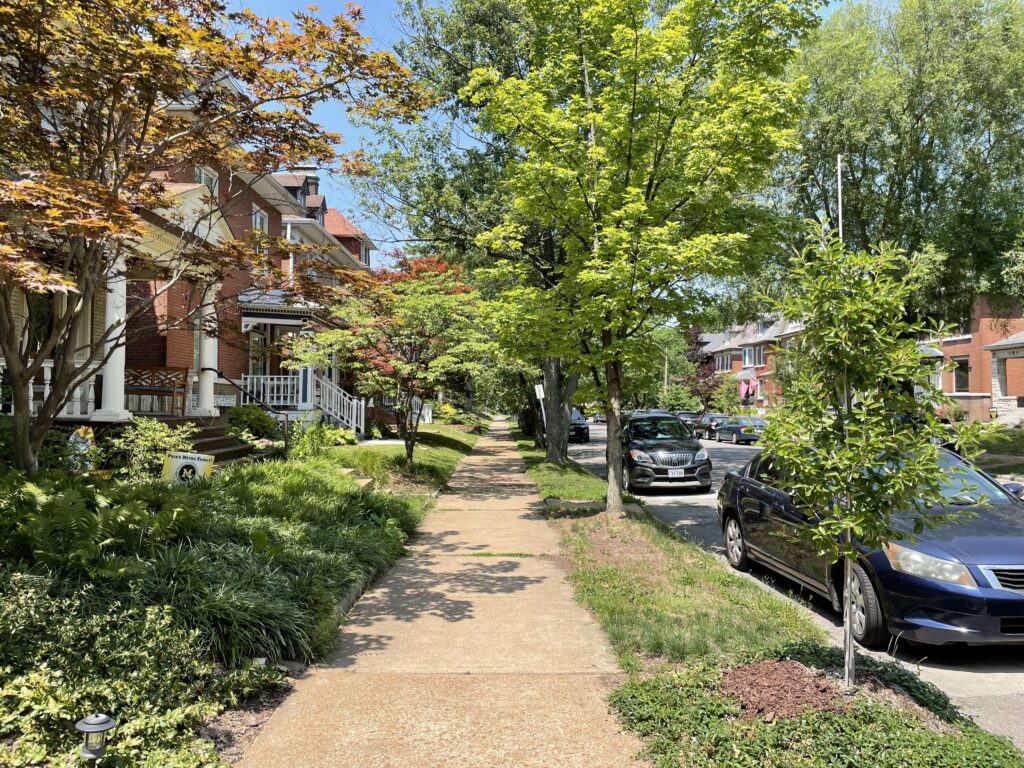 217 Today: Trees climb up cities' priority lists after a boost in ...