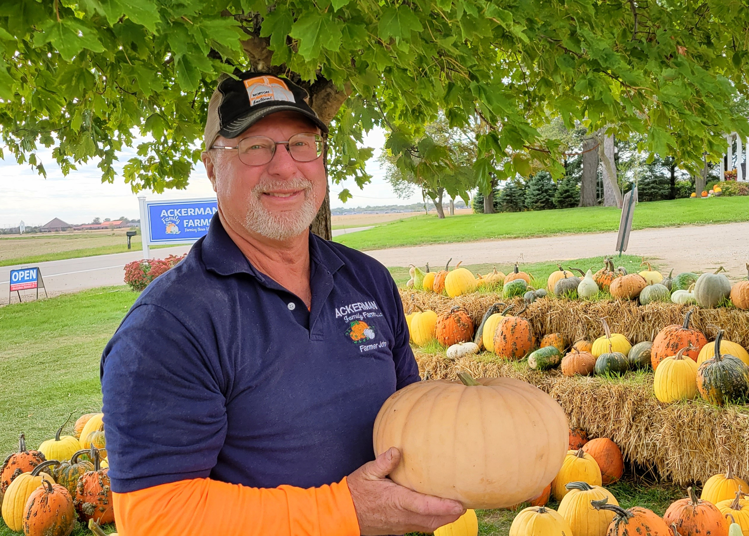 A 'magnificent harvest' for the pumpkin crop in some areas — despite ...