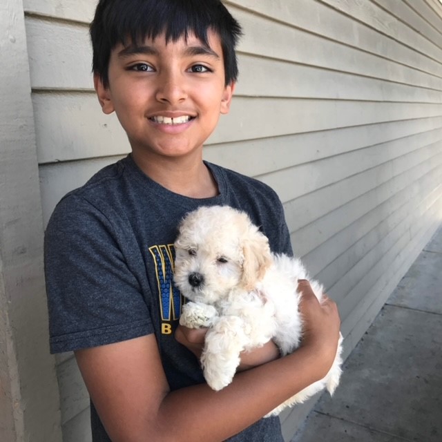 Parents say student found dead on University of Illinois Urbana ...