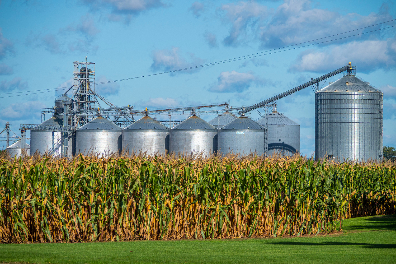 Ag groups and lawmakers warn of a monopoly in the fertilizer industry ...