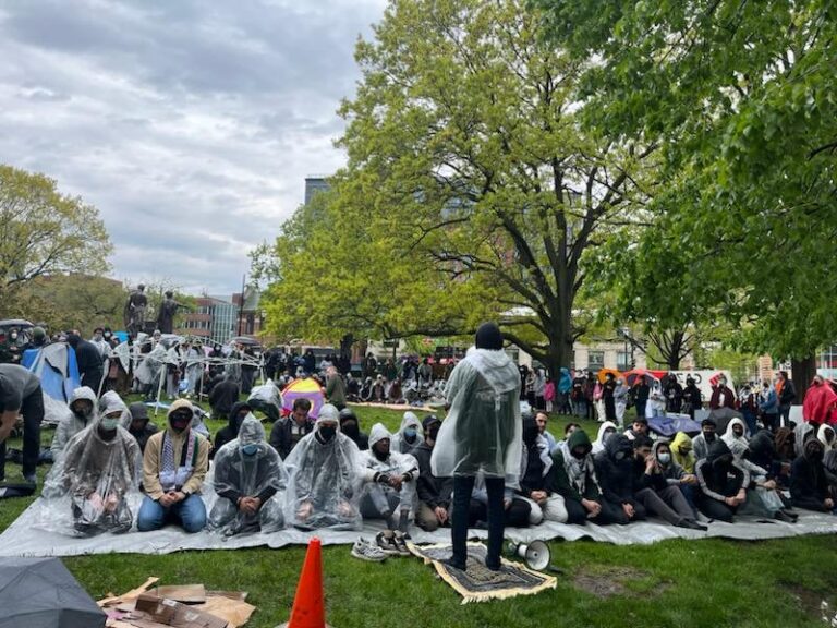 Protest for Palestine at UIUC leads to two arrests; negotiations reach ...