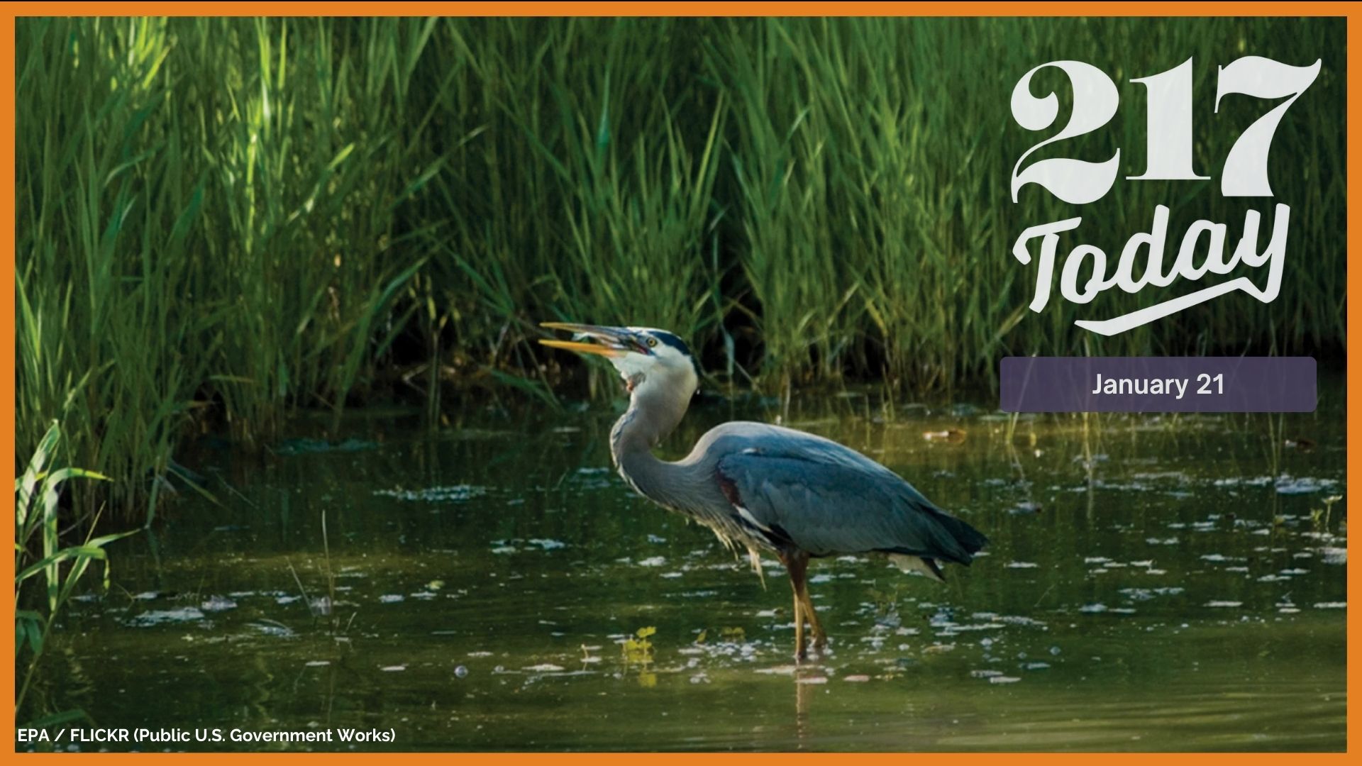 217 Today: A Midwest farmland owner tests a longstanding wetland ...