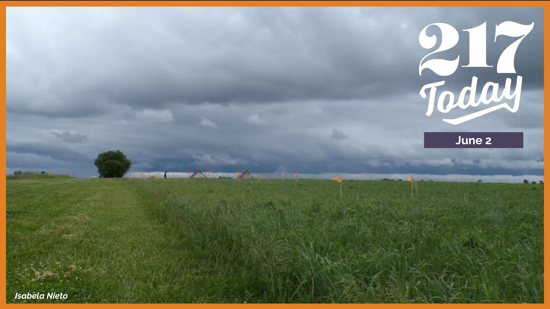 217 Today: How Illinois researchers are turning prairie grass into ...