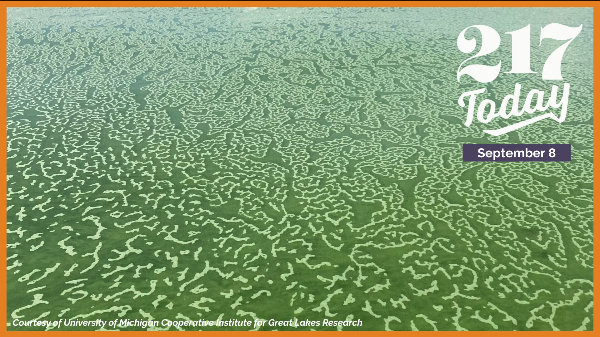 217 Today: What to know about algal blooms after Mattoon’s recent water crisis - IPM Newsroom