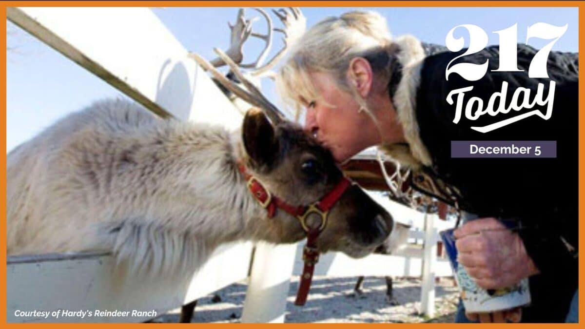 217 Today: Hardy’s Reindeer Ranch celebrates 30 years and represents ...